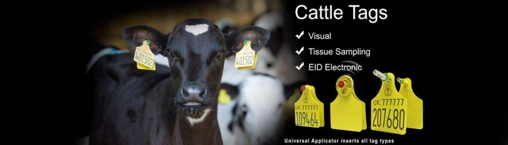 Cattle tags, Caisley Eartag ltd – Caisley cattle tags over 99%*|BVD Tag ...