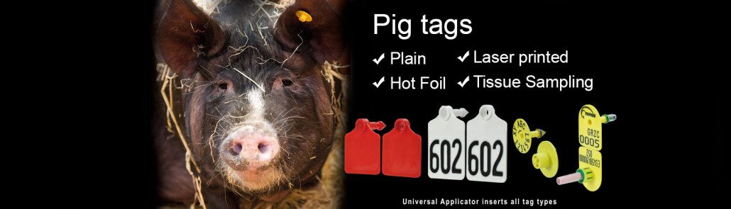Cattle tags, Caisley Eartag ltd – Caisley cattle tags over 99%*|BVD Tag ...