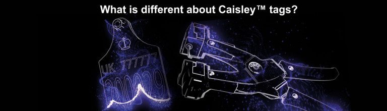 Cattle tags, Caisley Eartag ltd – Caisley cattle tags over 99%*|BVD Tag ...