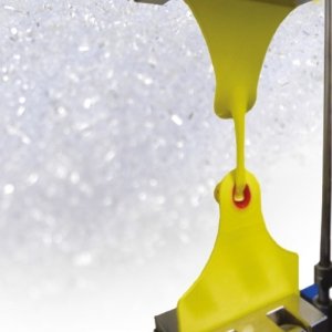 Why Caisley™ tags? | Cattle tags, Caisley Eartag ltd