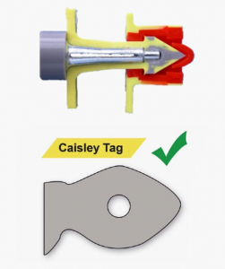 Why Caisley™ tags? | Cattle tags, Caisley Eartag ltd
