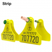 DNA Cattle Tags | Cattle tags, Caisley Eartag ltd