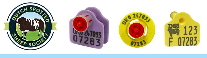 DUTCH SPOTTED SHEEP – Cattle tags, Caisley Eartag ltd