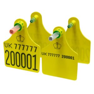 DNA tags for Cattle and sheep, BVD Tissue Sampling | Cattle sheep