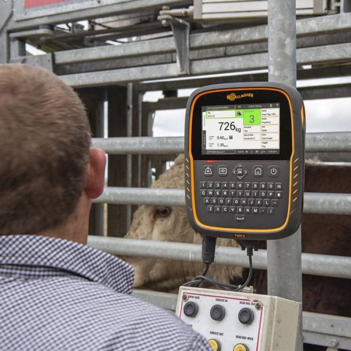 Gallagher TWR-5 Weigh Scale and Data Collector with integrated EID ...