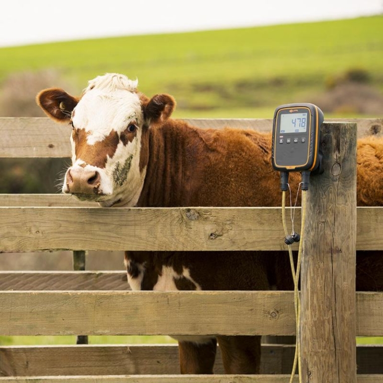 Gallagher W-0 Weigh Scale | Cattle tags, Caisley Eartag ltd